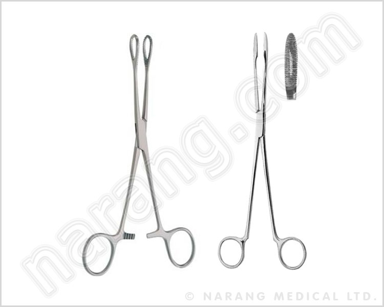 Sponge Holding Forceps, Sponge Holding Forceps Suppliers, Sponge ...