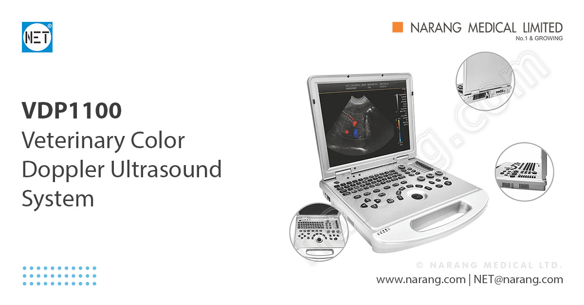 Veterinary Color Doppler Ultrasound System - VDP1100 | Veterinary Color ...