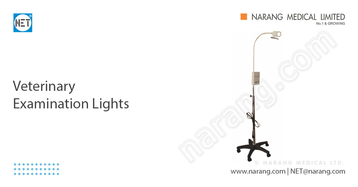 Veterinary Examination Lights, Veterinary Examination Lamps, Veterinary ...