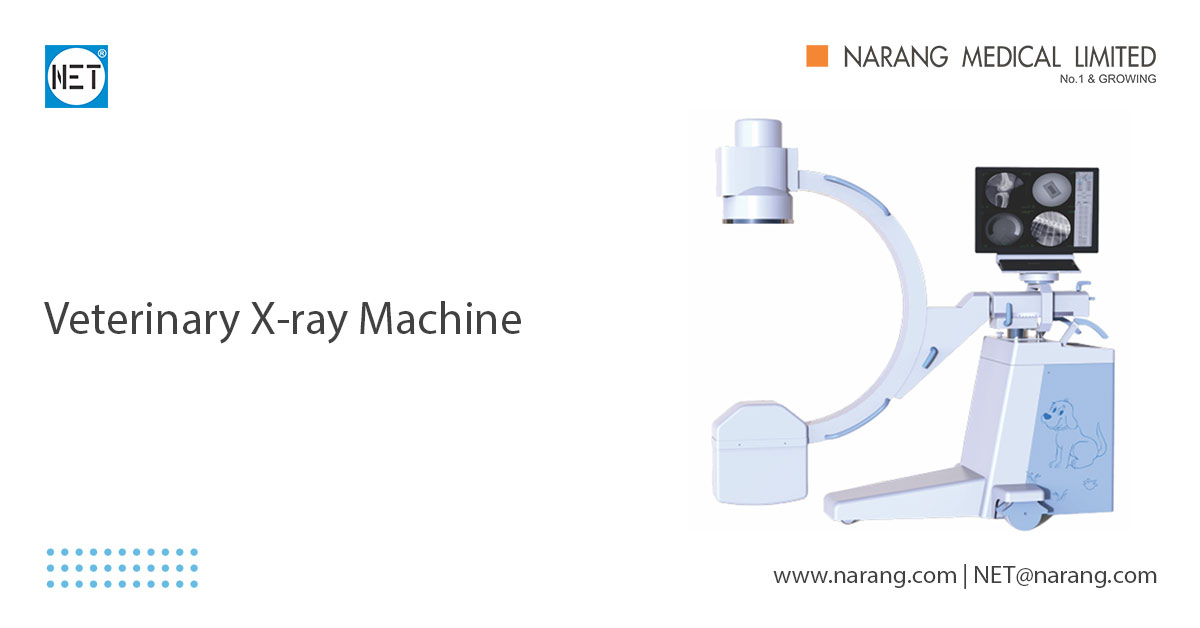 Veterinary X-ray Machine, Veterinary Digital Radiography System ...